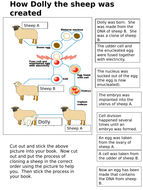 Cloning Full Lesson Levels 9-1 | Teaching Resources