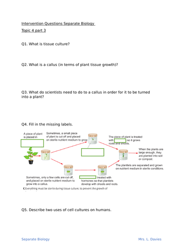 Biology Edexcel GCSE 1-9 Paper 1 revision questions and answers ...