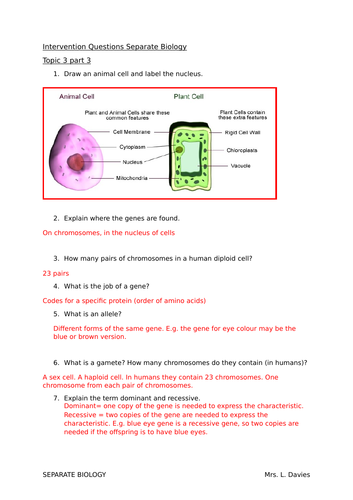 Biology Edexcel GCSE 1-9 Paper 1 revision questions and answers ...