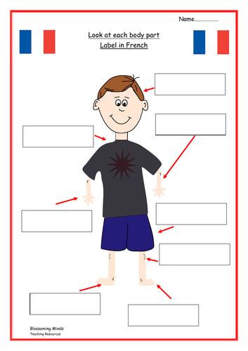 French lesson and resources - Body Parts | Teaching Resources