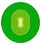 PE Dept - Cricket Fielding Positions Cards / Posters | Teaching Resources