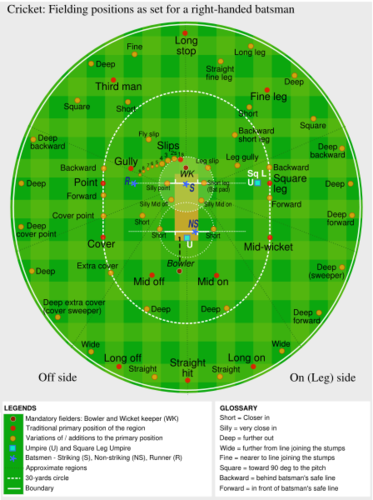 PE Dept - Cricket Fielding Positions Cards / Posters | Teaching Resources
