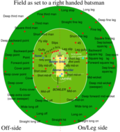 PE Dept - Cricket Fielding Positions Cards / Posters | Teaching Resources