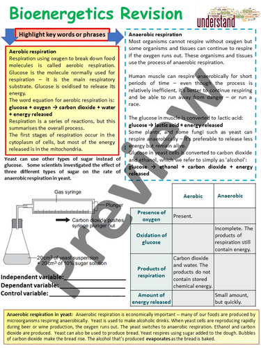 AQA 1-9 GCSE Biology (Science) Bioenergetics Work Booklet & Revision ...