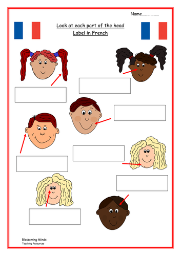 French lesson and resources - Parts of the Head (the face) | Teaching ...