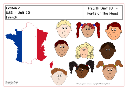 French lesson and resources - Parts of the Head (the face) | Teaching ...