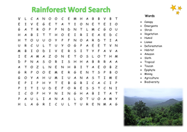 Rainforest Word Search | Teaching Resources