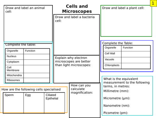 Biology Paper 1 Revision Posters for Edexcel Combined Science 9-1 (from ...
