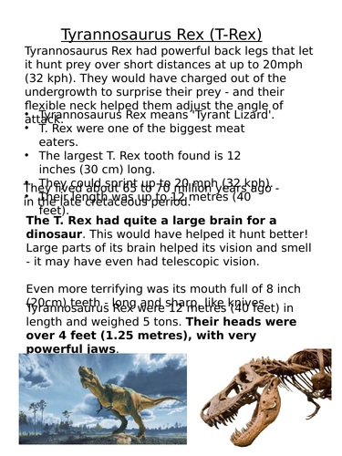 Dinosaur Information and Report Writing | Teaching Resources