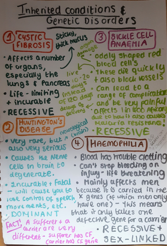 GCSE Biology - Inherited disorders and genetic conditions revision ...