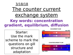 Gas Exchange in fish | Teaching Resources