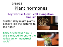 Plant Hormones AQA GCSE Biology | Teaching Resources