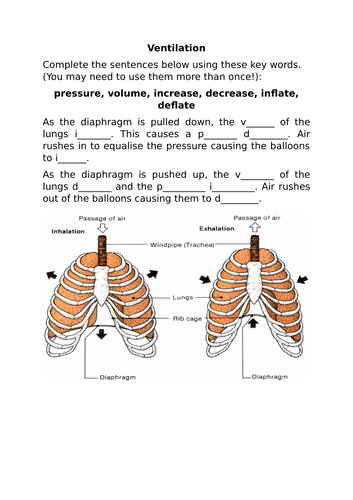KS3 Ventilation | Teaching Resources