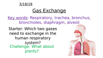 KS3 Gas Exchange | Teaching Resources