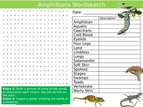 Amphibians Wordsearch Sheet Aniamsl Nature Starter Activity Keywords ...