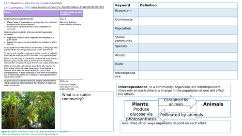 B7 Revision AQA 9-1 Adaptations | Teaching Resources