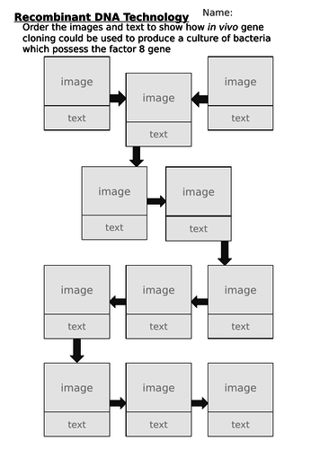 in vivo gene cloning cut and stick and questions - A level - DNA ...