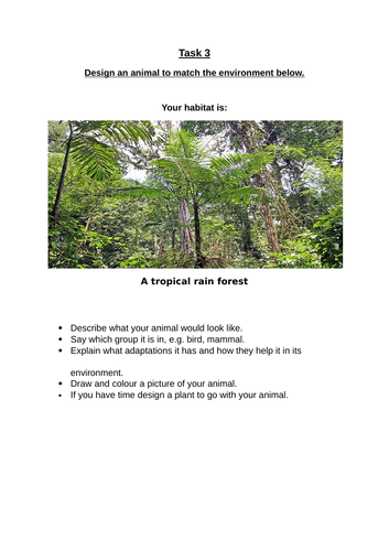 Ecosystems scheme of work and full lessons | Teaching Resources