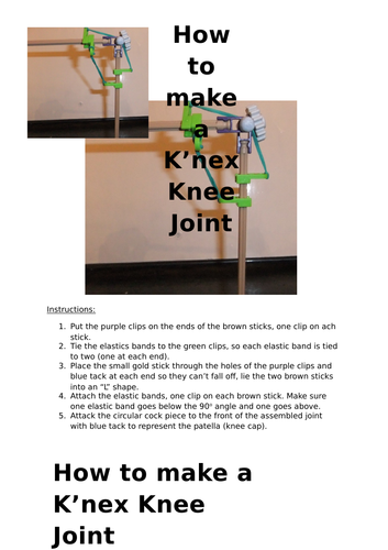 K'Nex Knee Joint Lesson | Teaching Resources