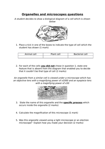 Edexcel GCSE Combined Science Topic B1 REVISION (Key concepts in ... Edexcel GCSE Combined Science Topic B1 REVISION (Key concepts in ...