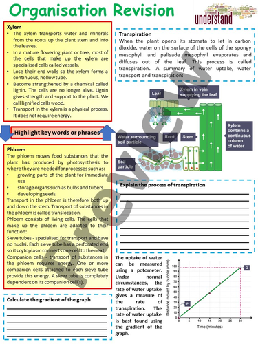 AQA 1-9 GCSE Biology (Science) Biological Organisation Work Booklet ...