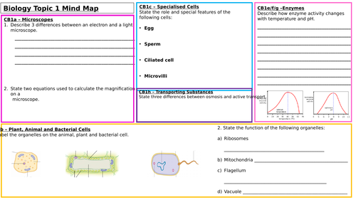 Edexcel Biology CB1 Revision Summary Worksheet | Teaching Resources