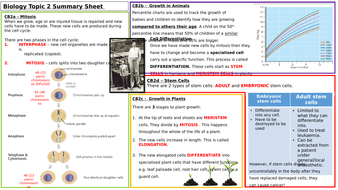 Edexcel Biology CB2&3 Revision Summary Worksheets | Teaching Resources