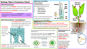 Edexcel Biology CB6 Revision Summary Worksheets | Teaching Resources