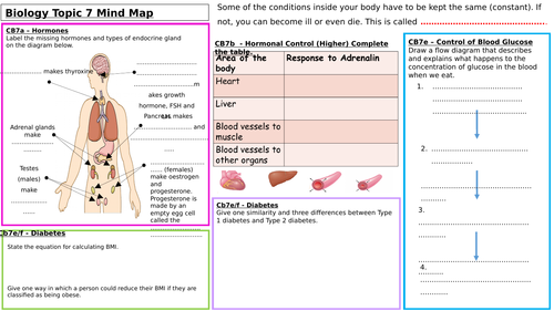 Edexcel Biology CB7 Revision Summary Worksheets | Teaching Resources
