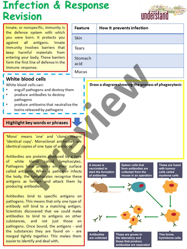 AQA 1-9 GCSE Biology (Science) Infection & Response Work Booklet & Revision Lesson | Teaching ...