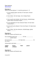 German – Describing People – Physical Descriptions & Characteristics ...