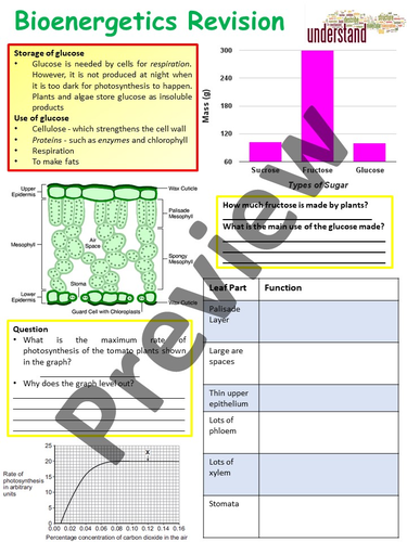 AQA 1-9 GCSE Biology (Science) Bioenergetics Work Booklet | Teaching ...