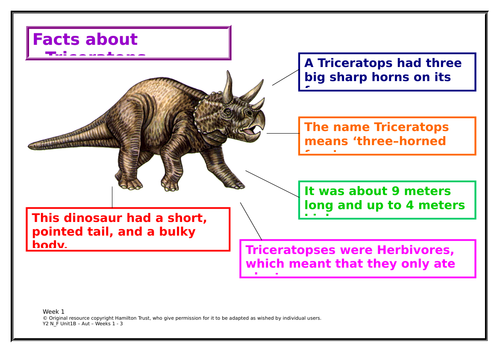 Dinosaur topic Year 2 | Teaching Resources