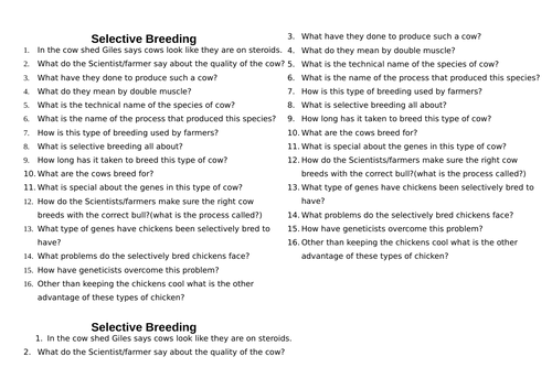 AQA GCSE B6 Selective Breeding | Teaching Resources
