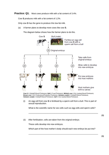 AQA GCSE B6 Selective Breeding | Teaching Resources