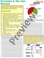 OCR / AQA A Level Biology Excretion, Kidneys & the Liver Revision ...