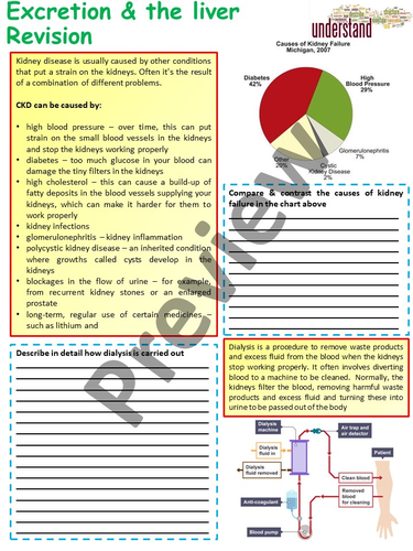 OCR / AQA A Level Biology Excretion, Kidneys & the Liver Revision ... OCR / AQA A Level Biology Excretion, Kidneys & the Liver Revision ...