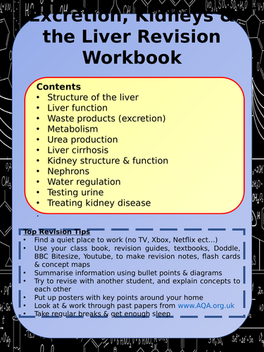 OCR / AQA A Level Biology Excretion, Kidneys & the Liver Revision ...