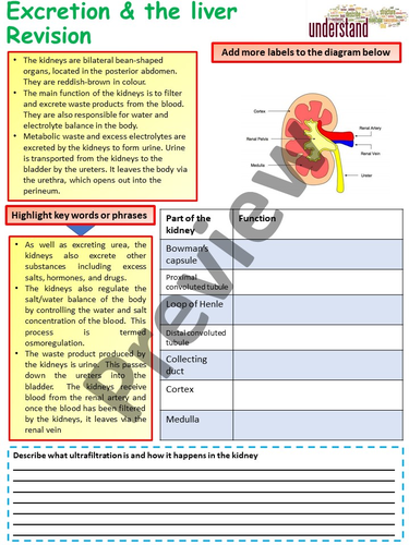 OCR / AQA A Level Biology Excretion, Kidneys & the Liver Revision ... OCR / AQA A Level Biology Excretion, Kidneys & the Liver Revision ...