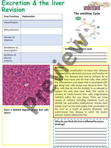 OCR / AQA A Level Biology Excretion, Kidneys & the Liver Revision ... OCR / AQA A Level Biology Excretion, Kidneys & the Liver Revision ...