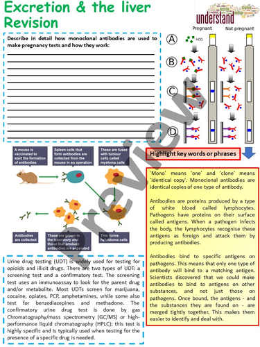 OCR / AQA A Level Biology Excretion, Kidneys & the Liver Revision ... OCR / AQA A Level Biology Excretion, Kidneys & the Liver Revision ...