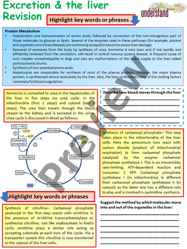OCR / AQA A Level Biology Excretion, Kidneys & the Liver Revision ...