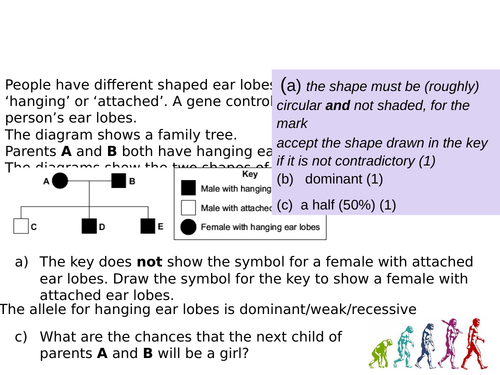 GCSE Biology Inherited Disorders & Embryo Screening | Teaching Resources