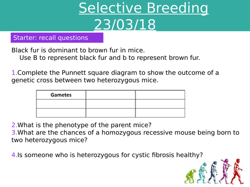 GCSE Biology Selective Breeding | Teaching Resources