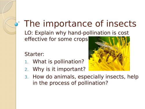 The importance of insects | Teaching Resources