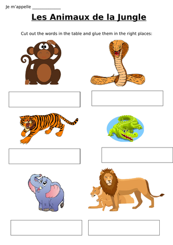 French Jungle Animals | Teaching Resources