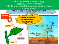 KS3_Photosynthesis the purpose and process | Teaching Resources