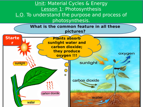 KS3_Photosynthesis the purpose and process | Teaching Resources