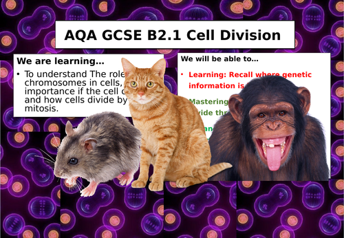 GCSE Cell Division (AQA B2.1) | Teaching Resources