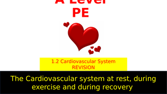 OCR A Level PE Cardiovascular system revision lesson | Teaching Resources